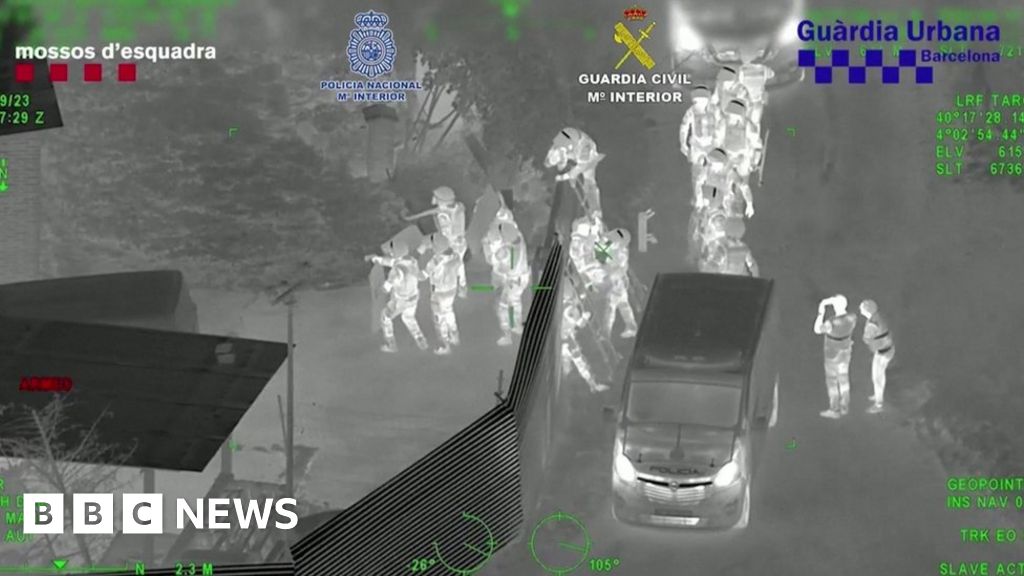 Night-time footage of raid targeting animal traffickers - BBC News