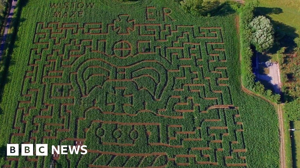 Wistow Maze: Eight-acre maize maze made for Queen's Jubilee - BBC News