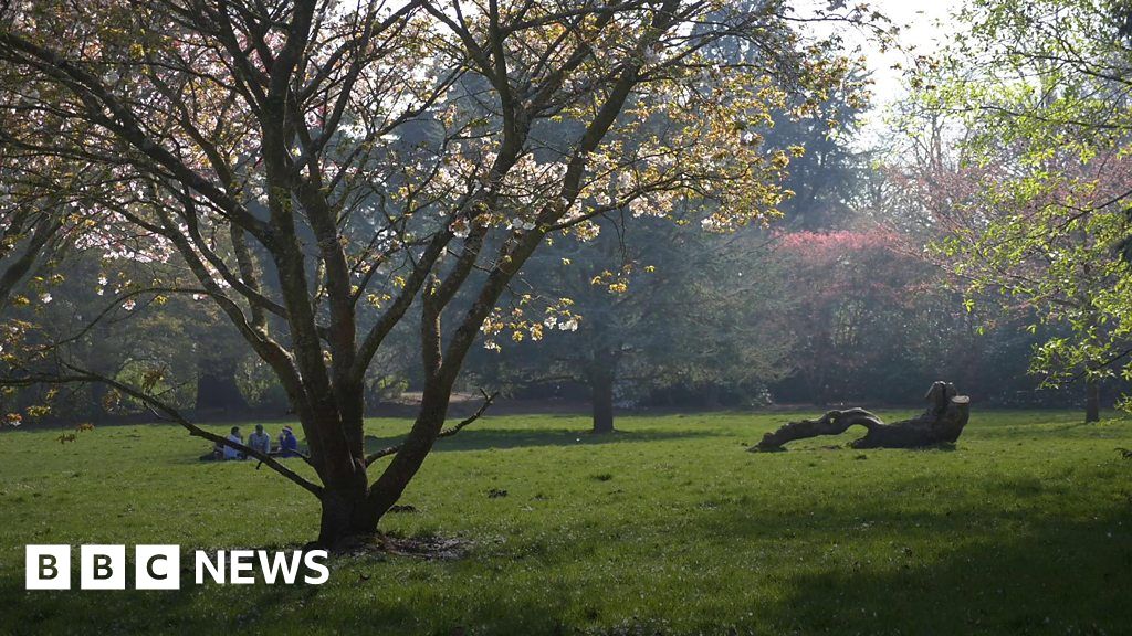 Bute Park: The hidden gems in the centre of Cardiff