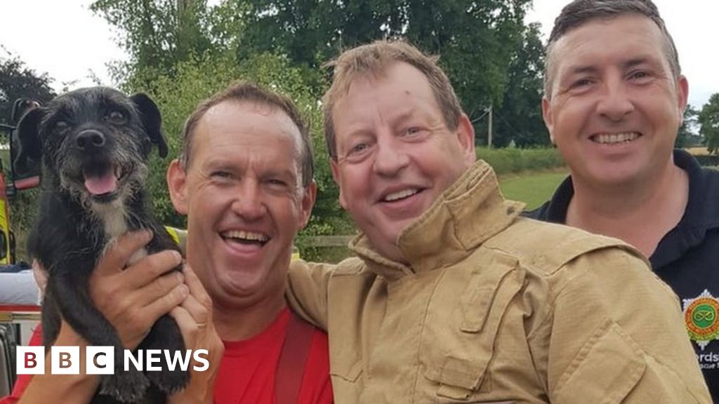 Stuck dog rescued in Gnosall thanks to thermal imaging camera - BBC News