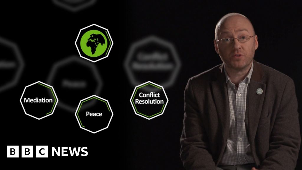 Scottish Green Party view of independence - BBC News