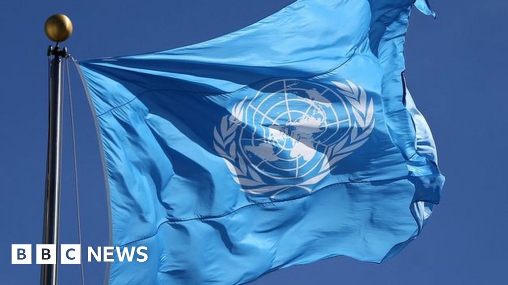 Ireland wins seat on UN Security Council - BBC News