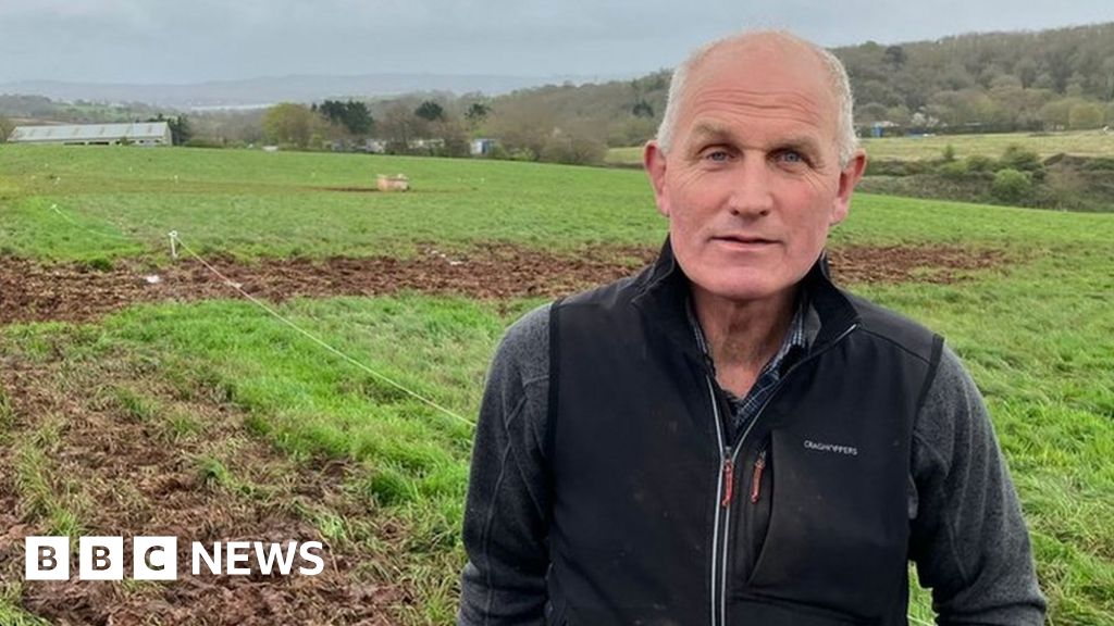 Wet weather sees farming morale at 'all time low' - BBC News