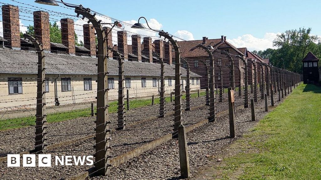 Leeds: School pupils to receive online tours of Auschwitz
