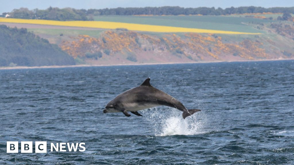 Your pictures of Scotland: 12 - 19 May - BBC News