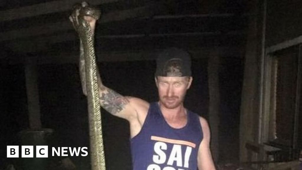 'Nightmare' as python attacks sleeping Australian boy - BBC News