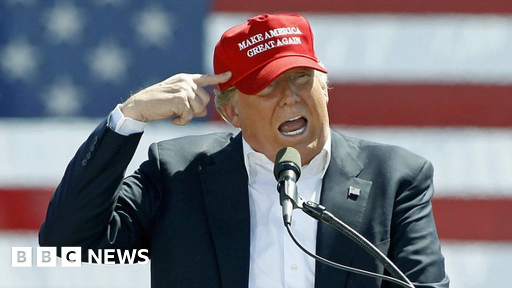 US election: What Trump interviews with biographer tell us - BBC News