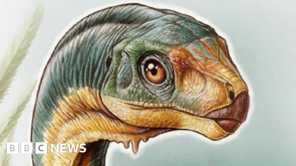 'Frankenstein dinosaur' mystery solved - BBC News