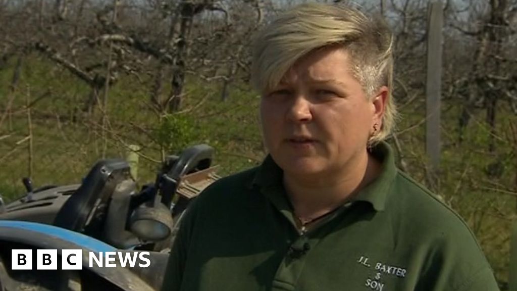 Ukraine: Visa delays halt farmer's plan to bring back former employees