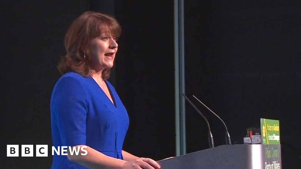 Plaid Cymru needs to earn trust of voters, Leanne Wood says - BBC News