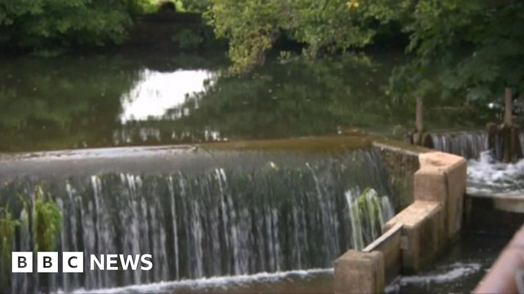 Weir fish pass helps salmon swim up the River Tone - BBC News