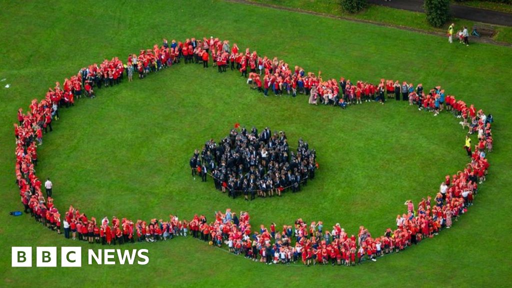 Somerset schoolchildren create giant human poppy
