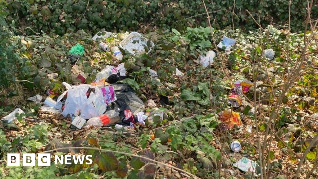 Bristol littering fines going up 'sends clear message' - BBC News