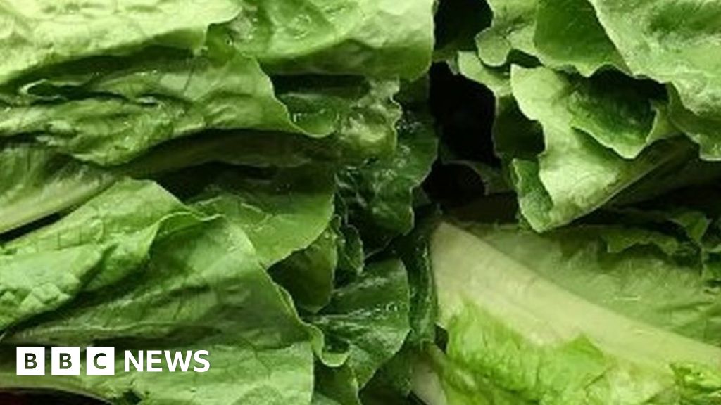 Nearly 100 US people sick in lettuce-linked E. coli outbreak