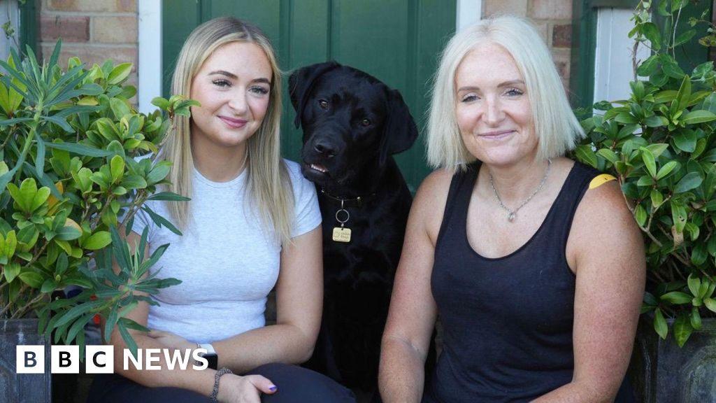 Ipswich family encourage others to help raise future guide dogs - BBC News