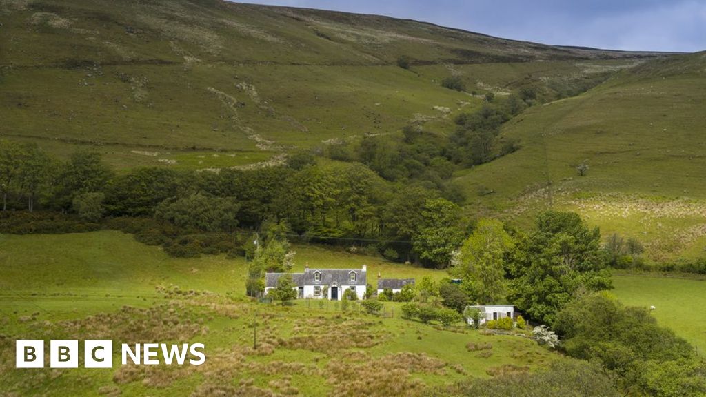 Tree-planting driving up rural land prices