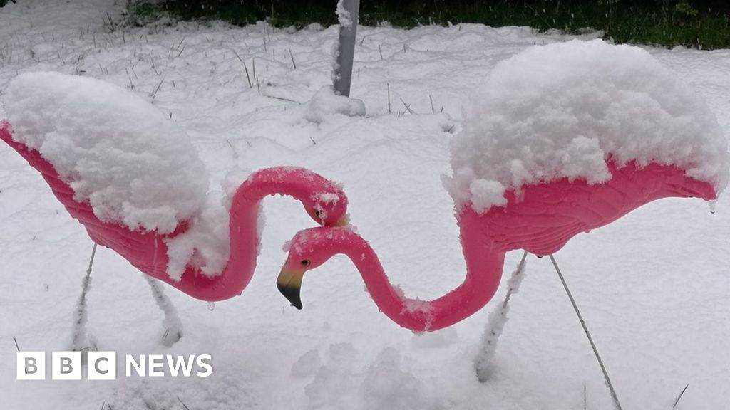 Snow in UK: Your photos of the wintry scenes - BBC News