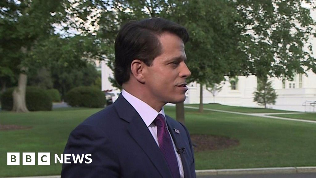 Scaramucci: 'Where I grew up, we're front stabbers' - BBC News