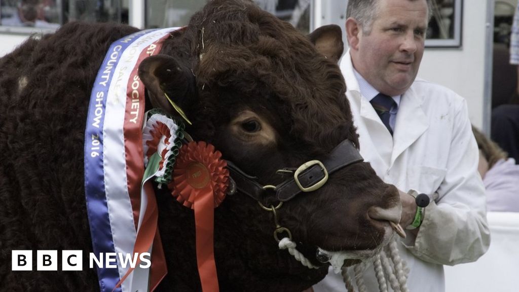 Nottinghamshire County Show returns to celebrate Queen's Platinum ...