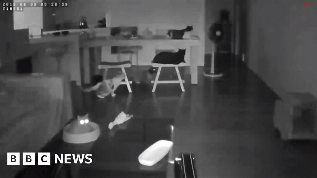 6.0 magnitude earthquake in Taiwan caught on night camera - BBC News