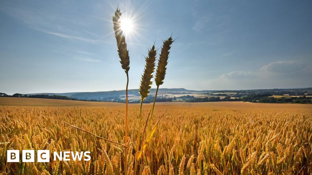 Climate policies 'will transform UK landscape' - BBC News