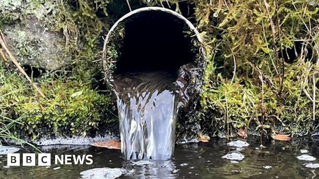 Sewage makes River Thames swim spots unsafe after heavy rain - BBC News