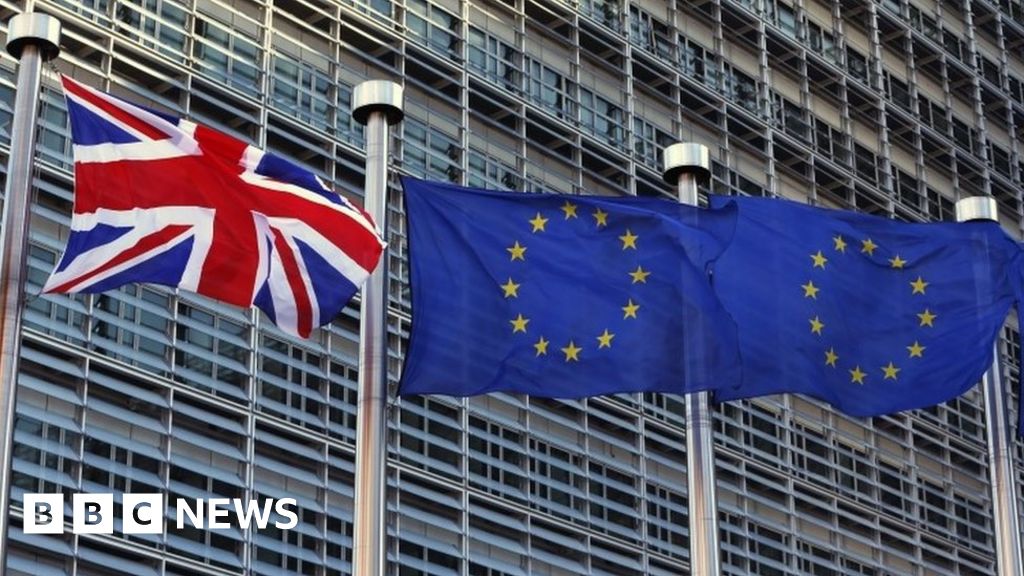 EU referendum: Groups pitch for campaign money - BBC News