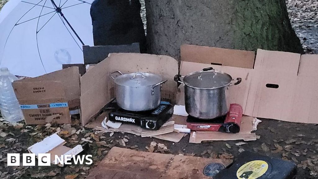 Hull: Asylum seekers cook in city park as hotel food criticised - BBC News
