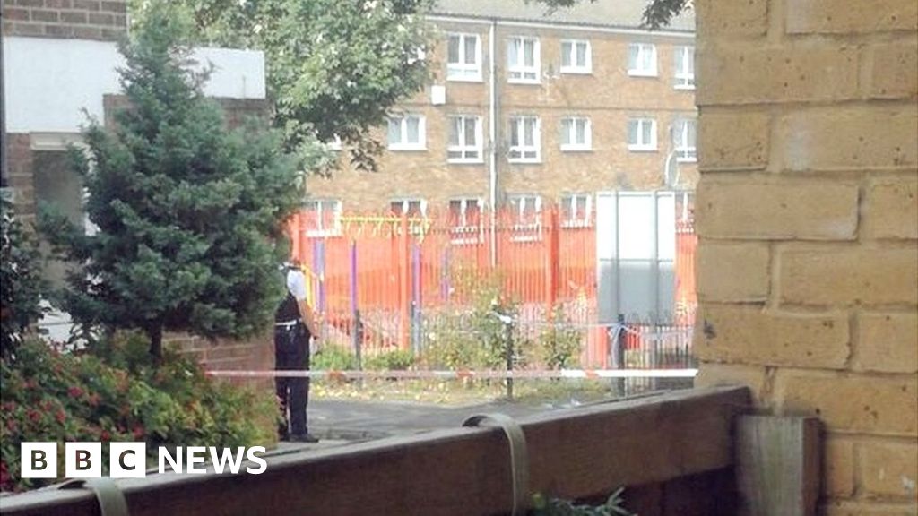 Forest Gate shooting: Boys, 14 and 17, seriously injured - BBC News