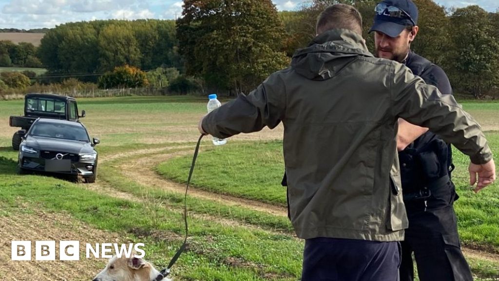 Dog ban for London poachers is legal first, Essex Police say