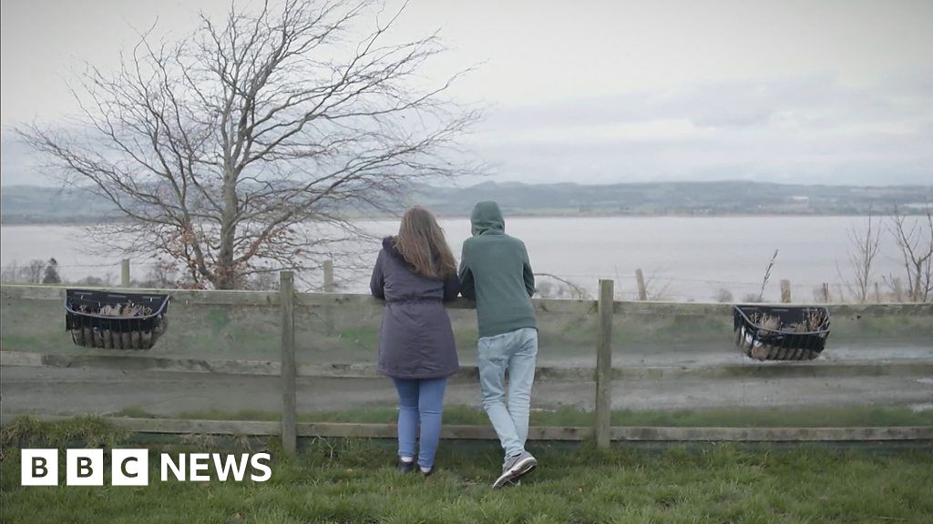 Siblings separated in the care system - BBC News