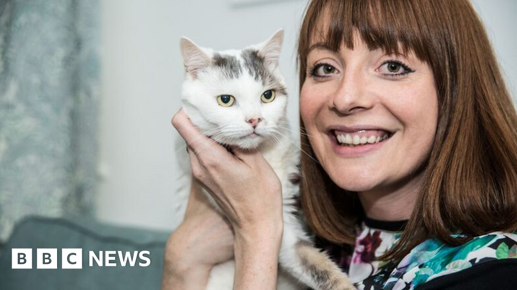 Award for Theo, the cat who saved owner's life