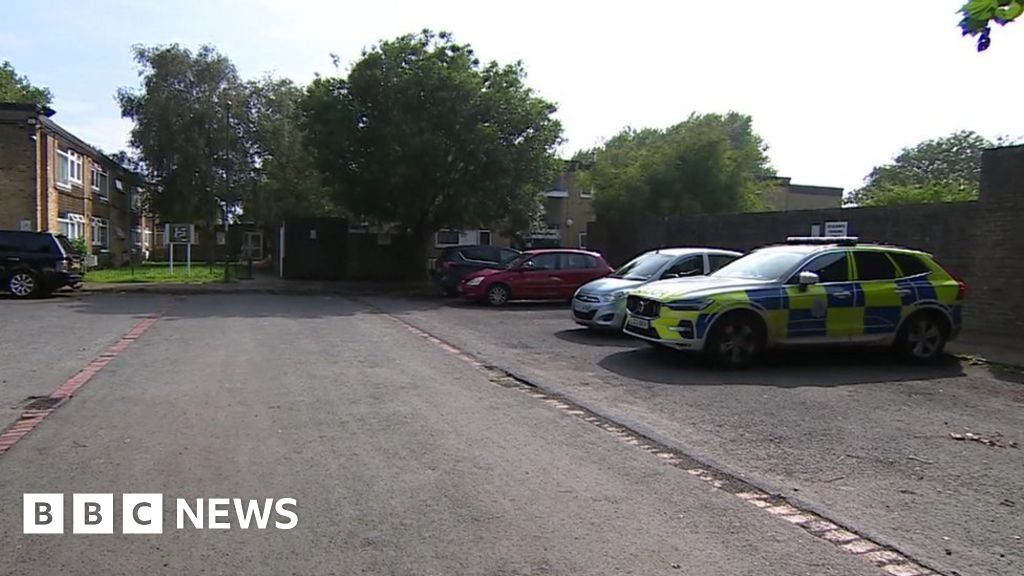 Bognor Regis: Arrest after man in 70s attacked by two dogs