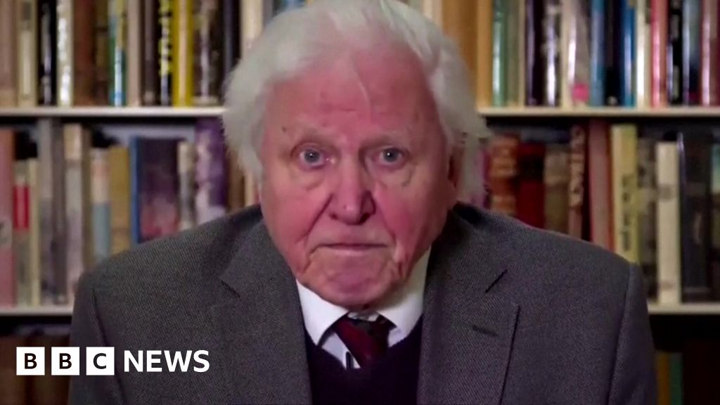 Attenborough Gives Stark Warning On Climate Change To Un