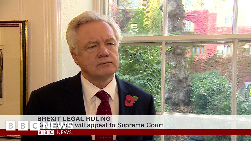 Brexit: David Davis says British people are sovereign - BBC News