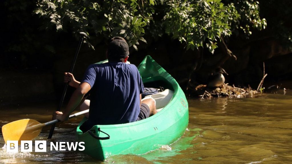 Police probe birds nest damage after Chris Packham criticism - BBC News