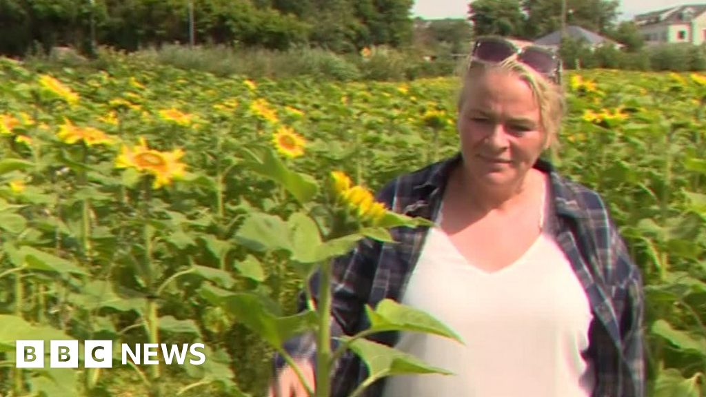 'My heart will forever be broken but love keeps me going' - BBC News