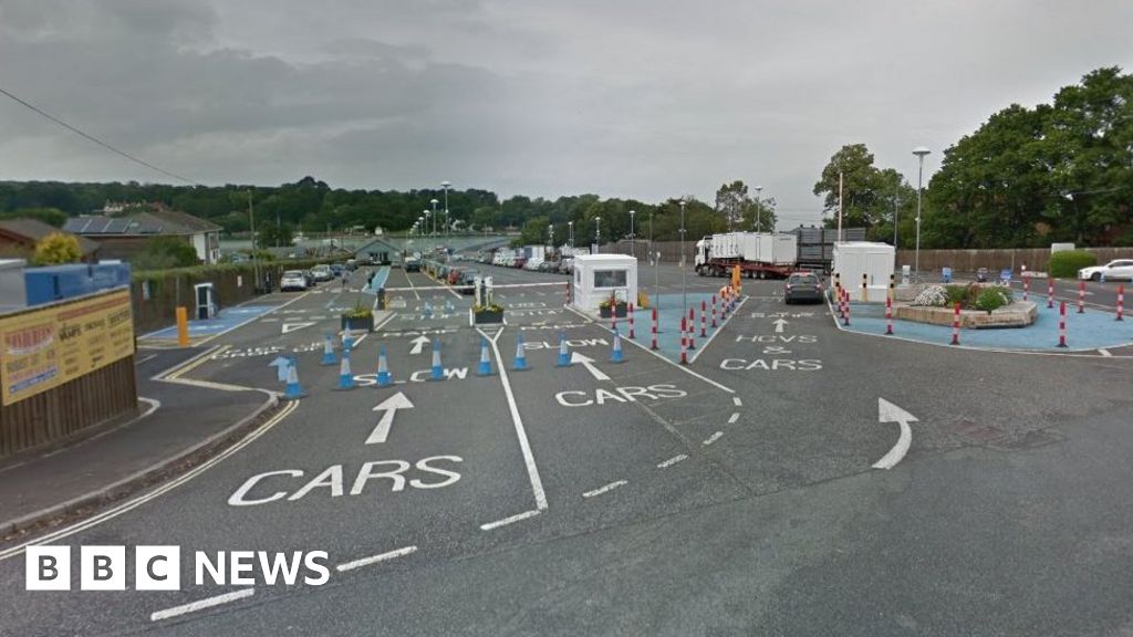 Fishbourne ferry queues 'detrimental' to residents