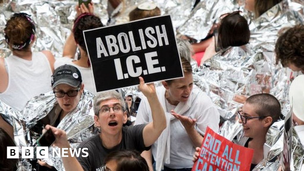 Abolish Ice: A new demand from the left is risky for Democrats - BBC News