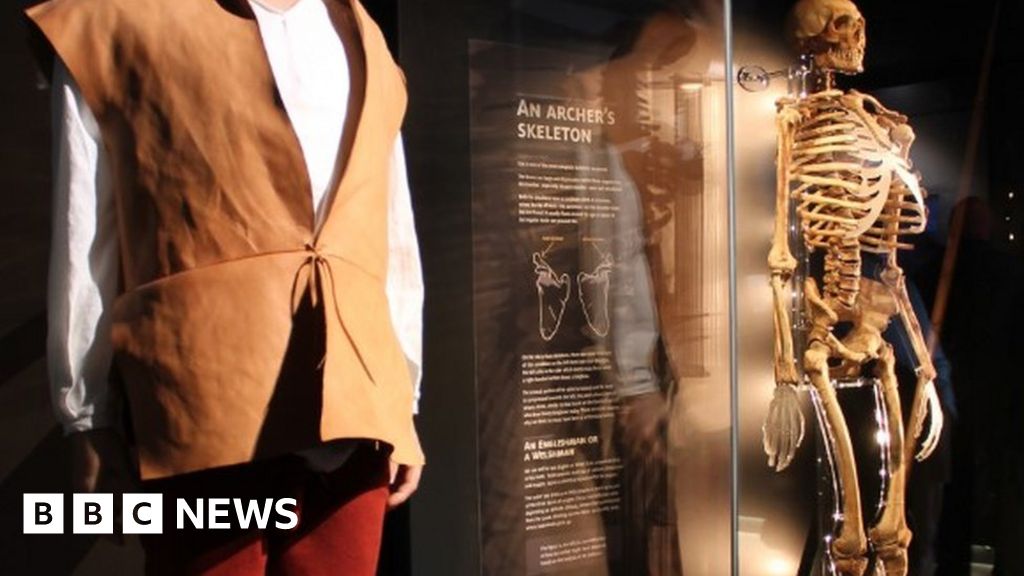 Mary Rose Ship Crew To Be Identified Using Dna Bbc News