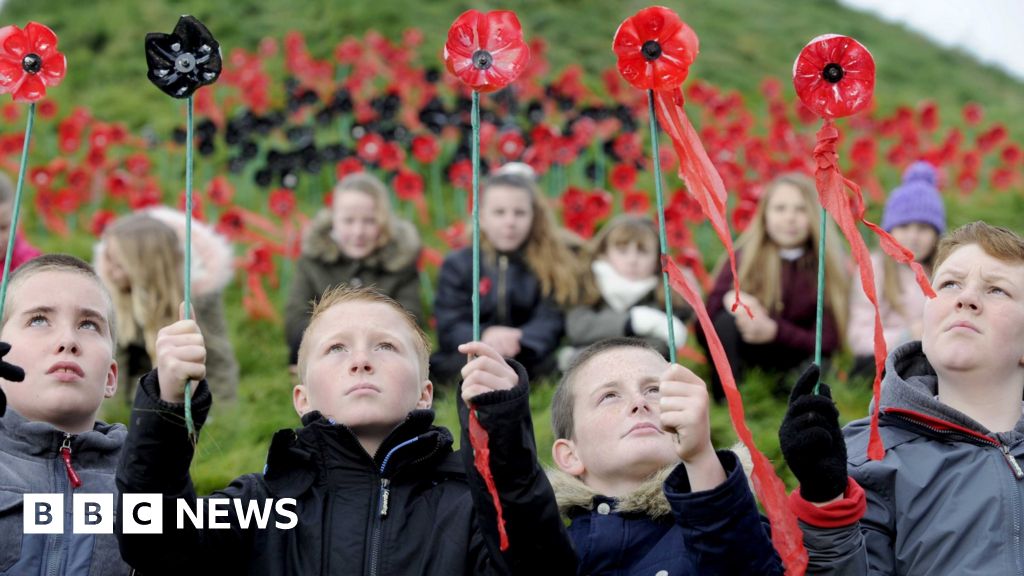 In pictures: Crawick Multiverse poppy tribute - BBC News