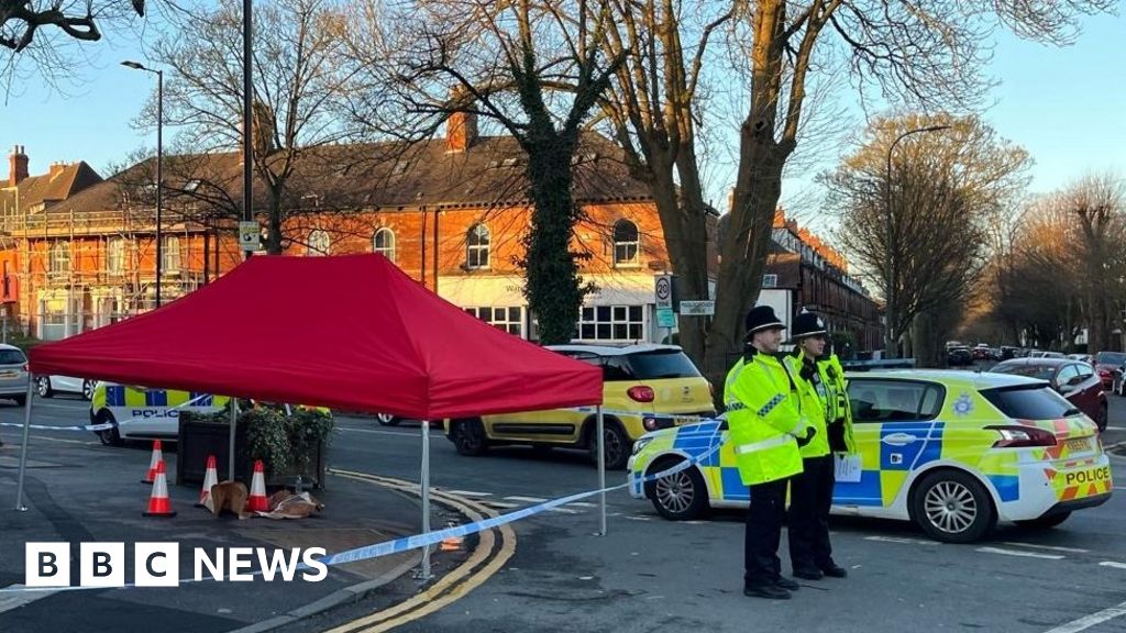 Hull stabbing: Mateus Johannes in court charged with murder