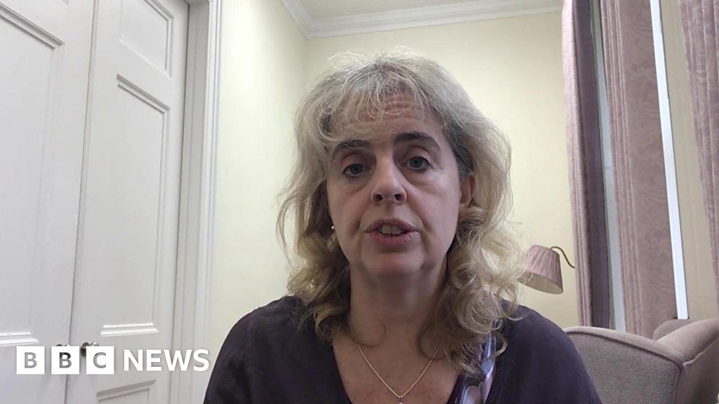 Brexit: 'Ruling puts Remain back in play,' says professor - BBC News