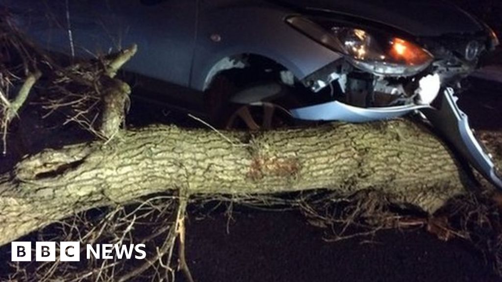 Storm Imogen: Car hits fallen tree in Southampton - BBC News