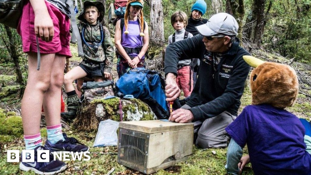 Predator Free 2050: New Zealand ramps up plan to purge all pests - BBC News