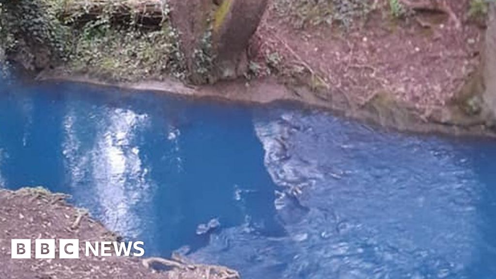 River Sence was turned blue by dye, says Environment Agency - BBC News