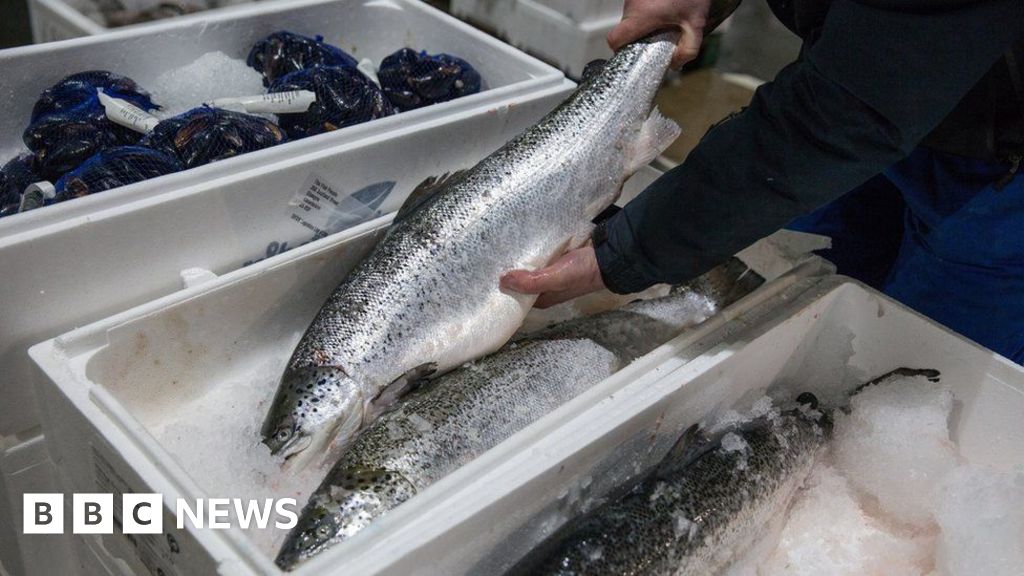 Scottish seafood exports 'held up by post-Brexit rules' - BBC News