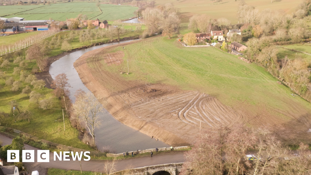 Farmer who ripped up trees was fixing storm damage, court hears - BBC News
