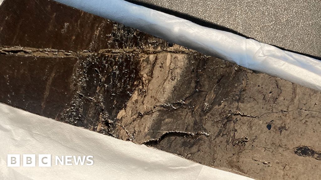 The rock that records the end of the dinosaurs