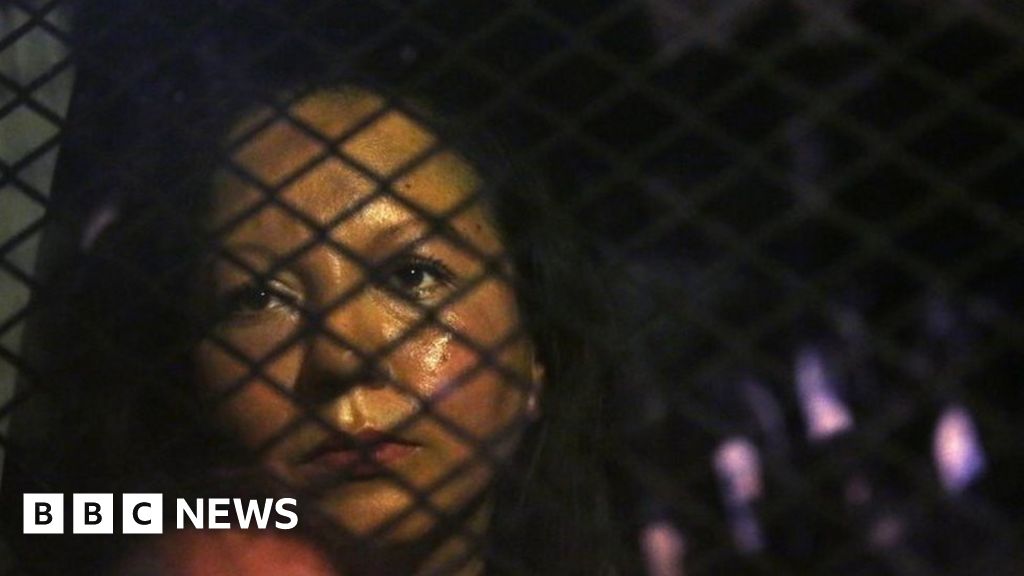 Mexican woman deported from the US despite protests - BBC News